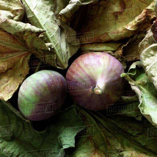 Red figs - Royalty-free Stock Photo | Dissolve