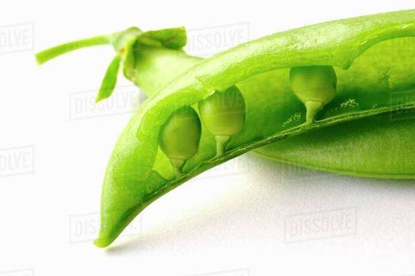 A pea pod (close-up) - Stock Photo - Dissolve