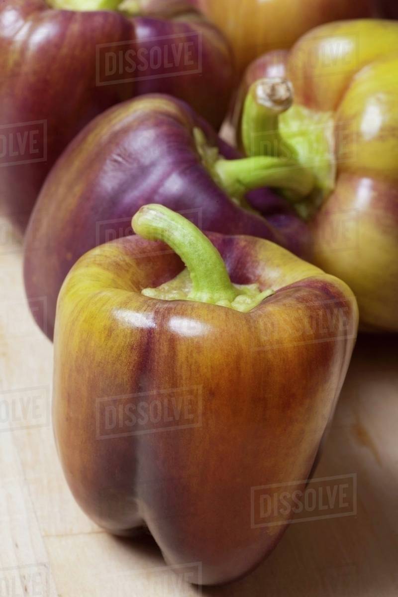 Multi-Colored Bell Peppers from Pennsylvania Farmers Market - Stock ...