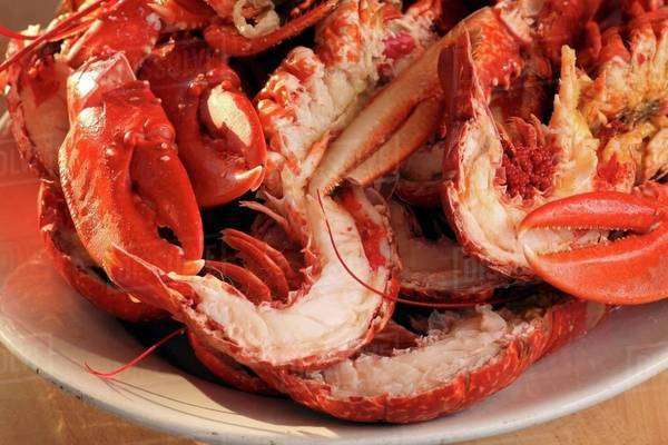 Cooked lobster, jointed (close-up) - Royalty-free Stock Photo | Dissolve