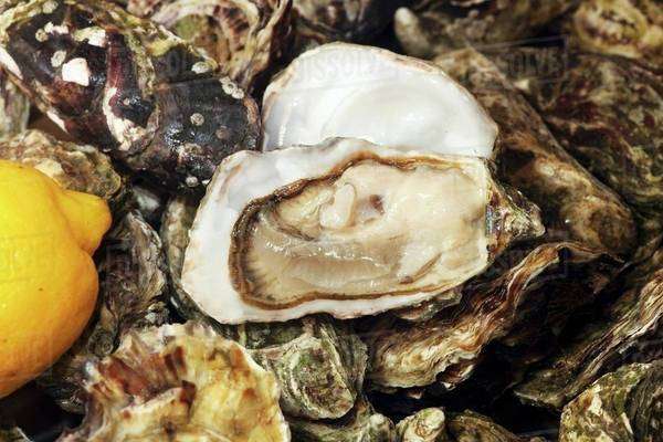 Fresh Irish oysters with lemon (close-up) - Royalty-free Stock Photo ...