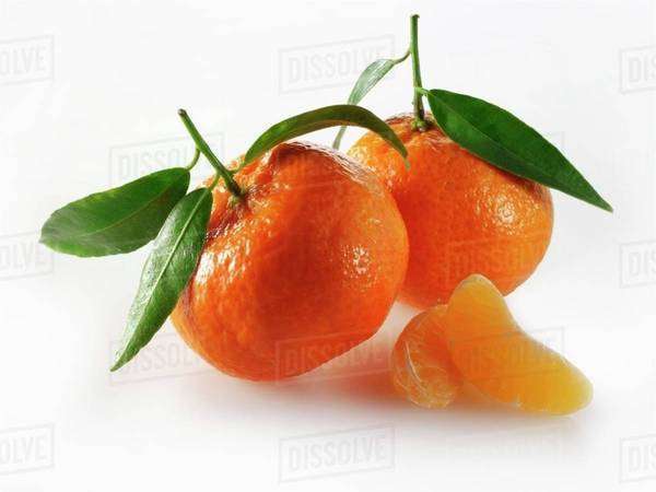 Two whole clementines with leaves and two clementine sections - Stock ...