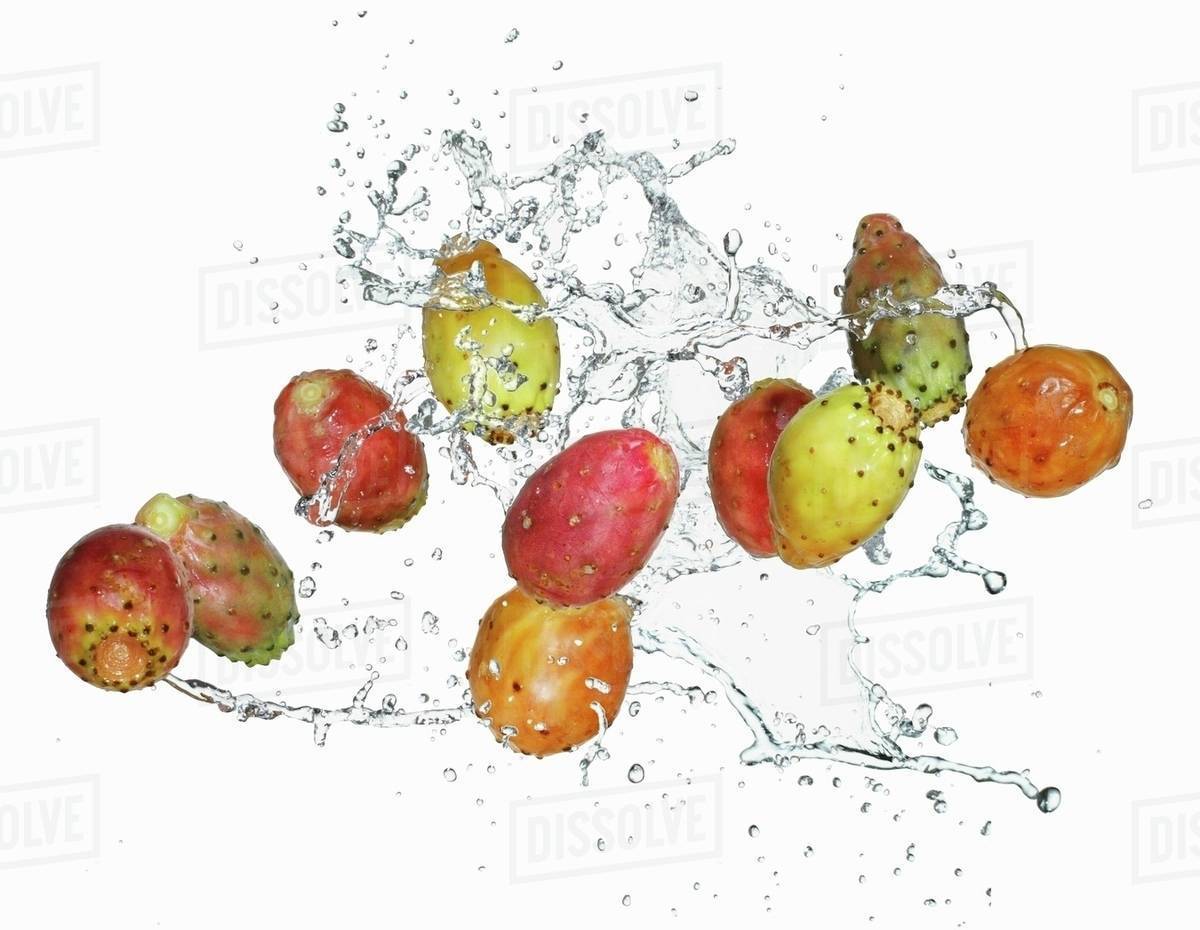 Prickly pears and water - Stock Photo - Dissolve