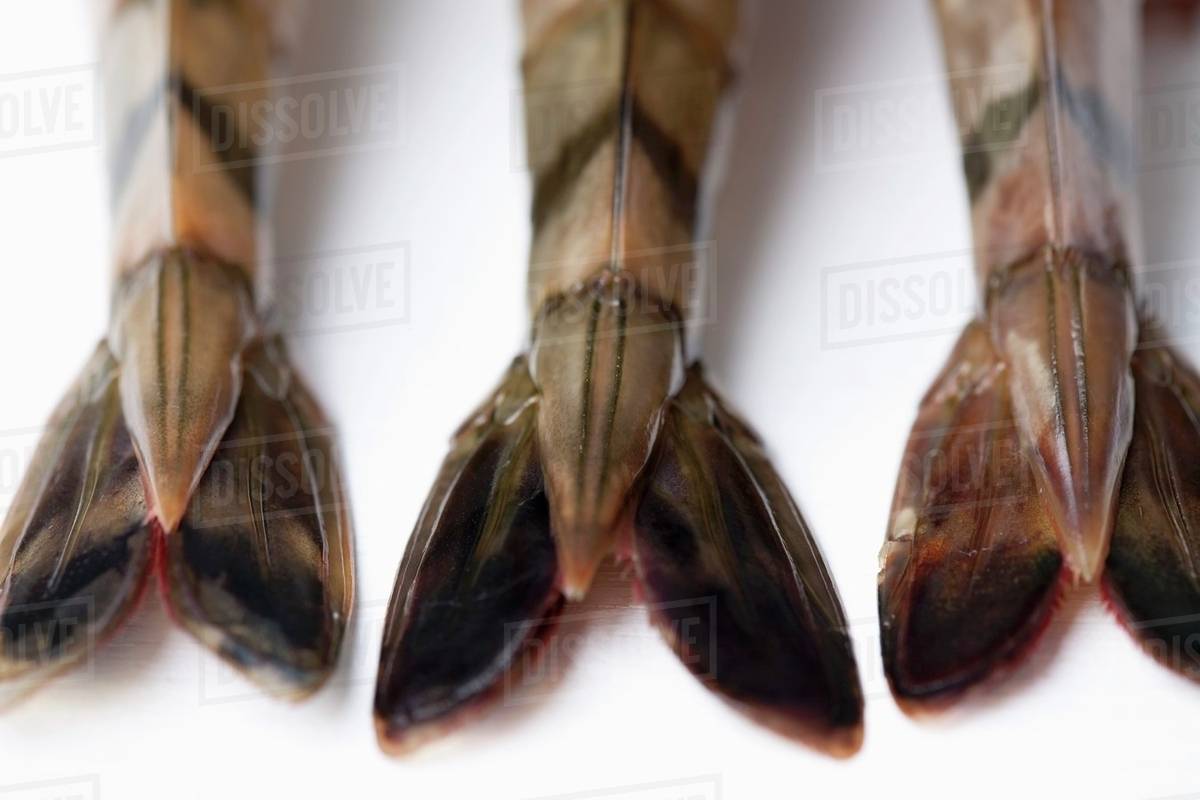 Three prawn tails (close-up) - Royalty-free Stock Photo | Dissolve