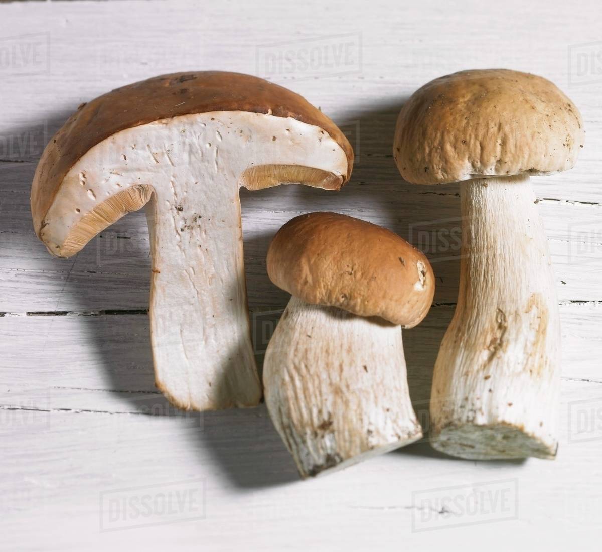 Three fresh porcini mushrooms, whole and halves - Royalty-free Stock ...