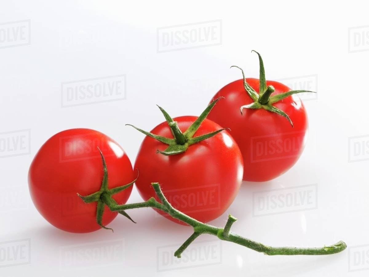 Three red tomatoes - Stock Photo - Dissolve