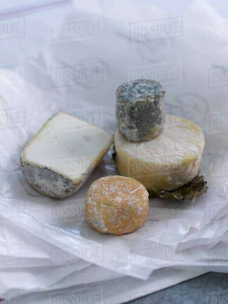 Four different types of goat's cheese - Royalty-free Stock Photo | Dissolve