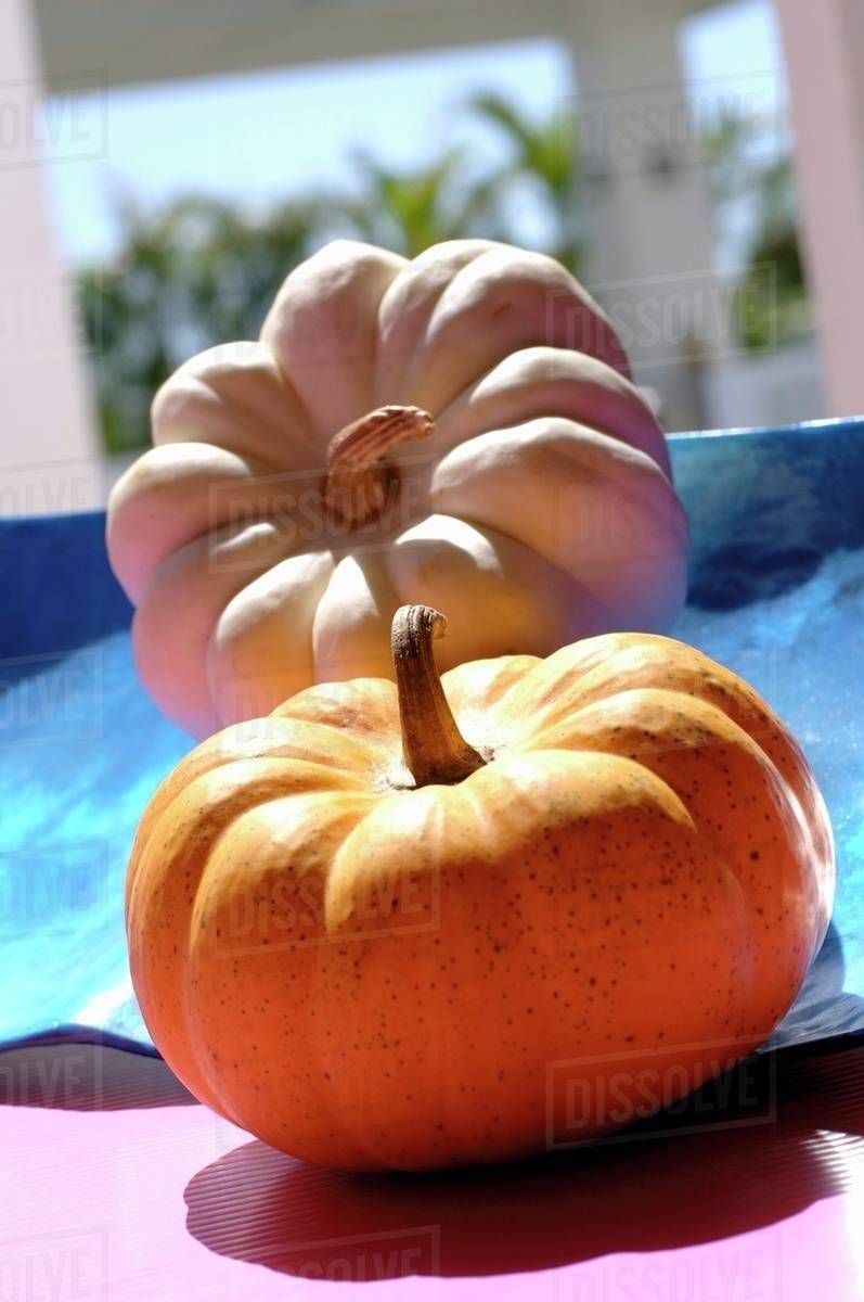 Two pumpkins - Stock Photo - Dissolve