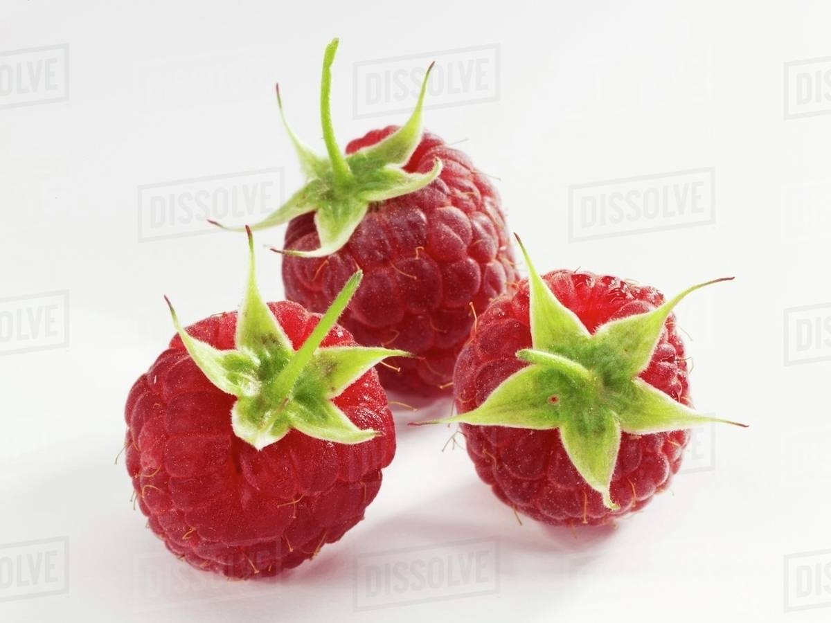 Three raspberries - Stock Photo - Dissolve