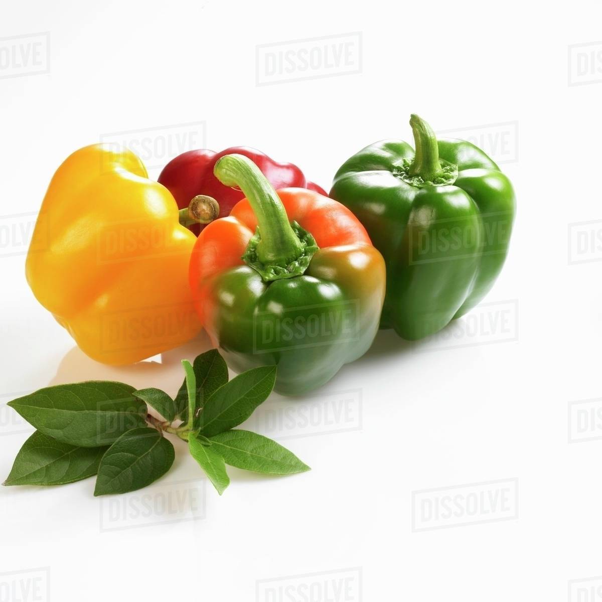 Four peppers - Royalty-free Stock Photo | Dissolve