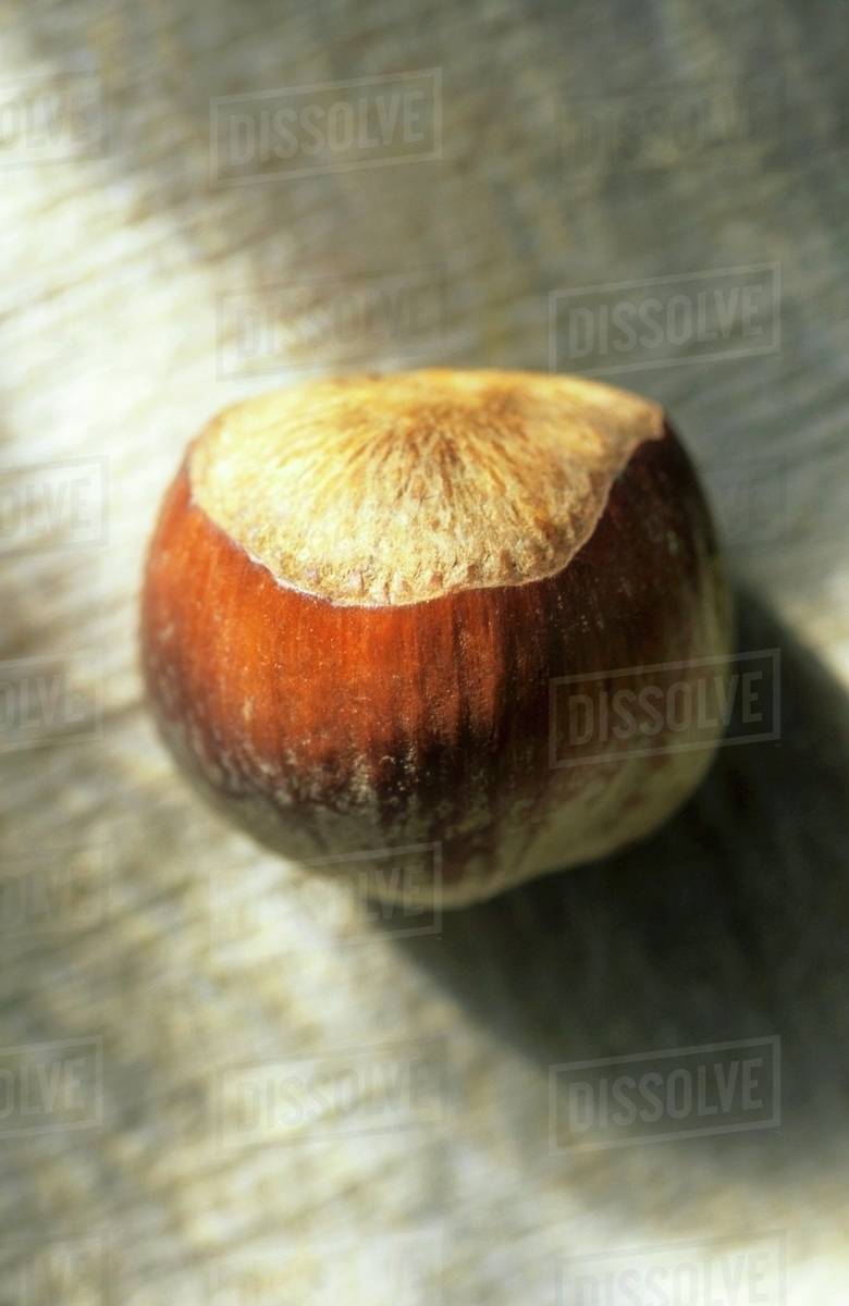 A Single Whole Hazelnut - Royalty-free Stock Photo | Dissolve