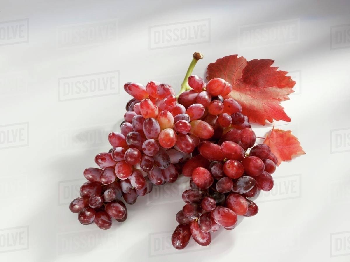 Red grapes - Royalty-free Stock Photo | Dissolve