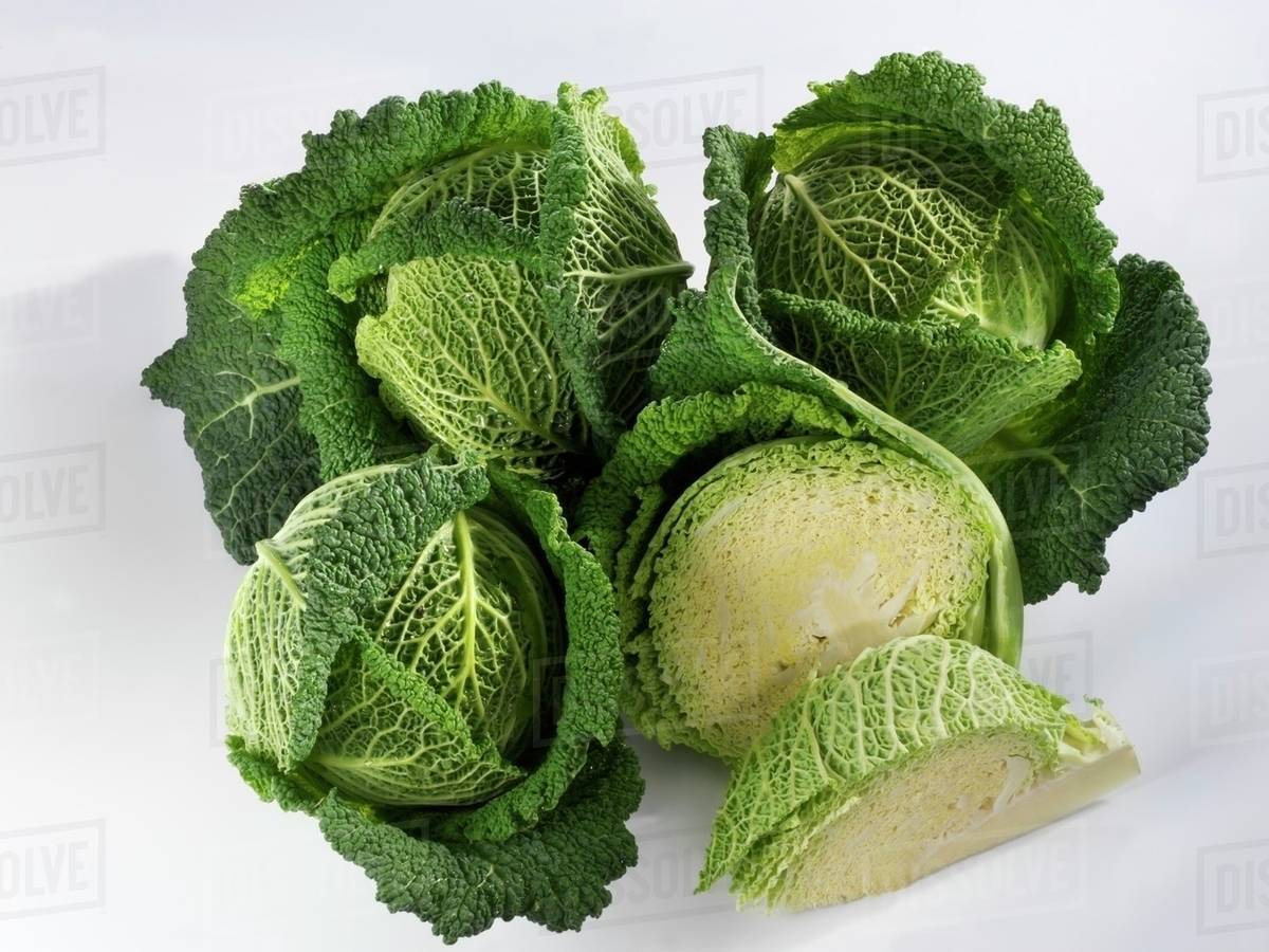 Four savoy cabbages - Royalty-free Stock Photo | Dissolve