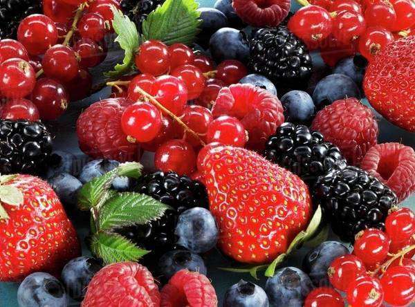 Mixed berries - Stock Photo - Dissolve