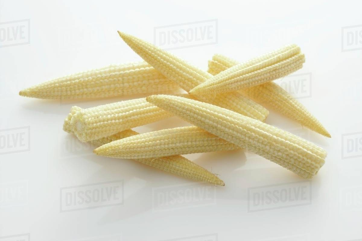 Baby corn - Royalty-free Stock Photo | Dissolve