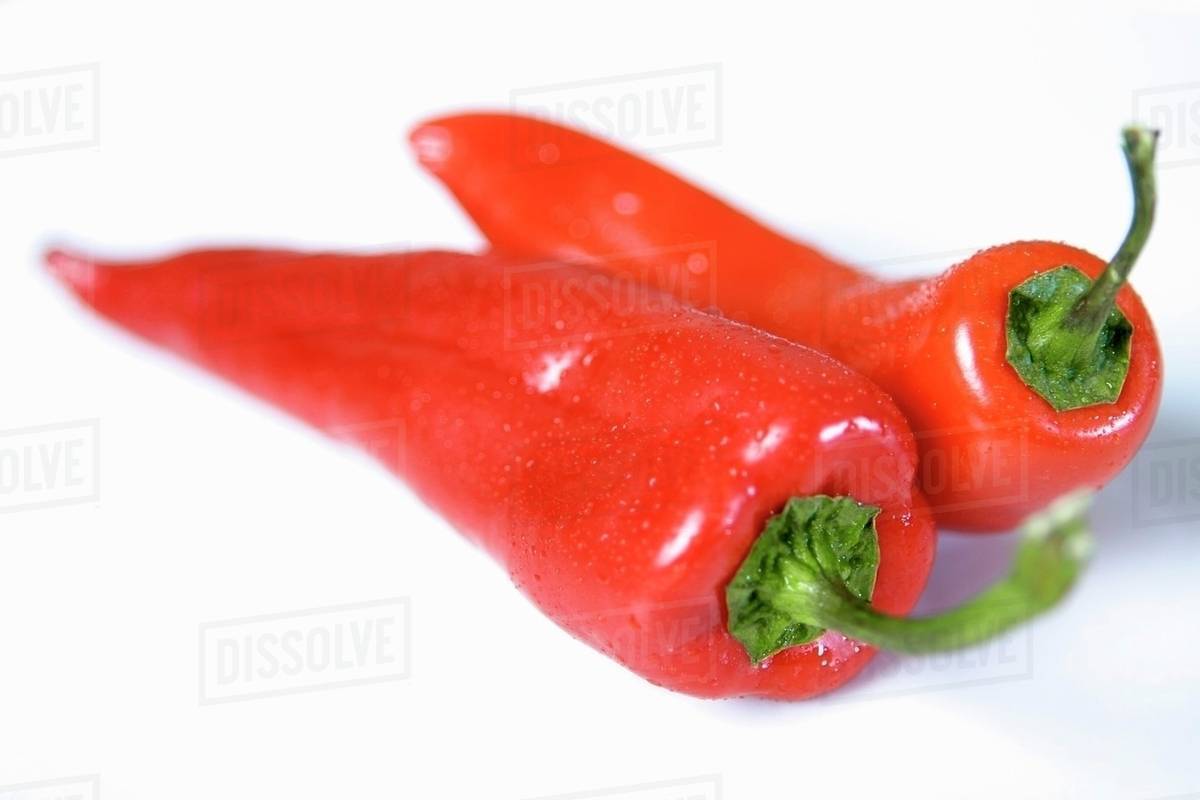 Two red chillies - Royalty-free Stock Photo | Dissolve