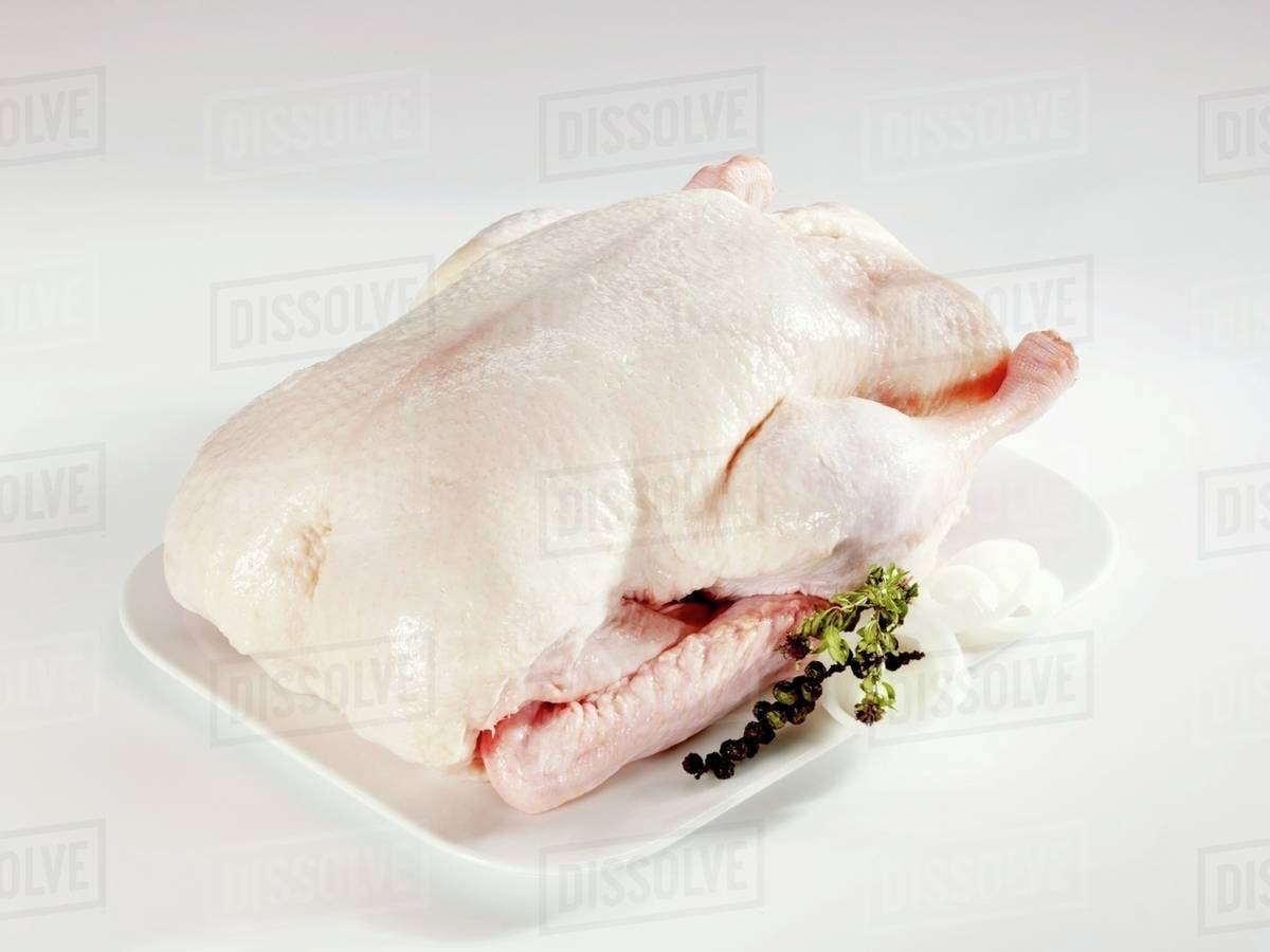 A raw fattened duck on a platter - Royalty-free Stock Photo | Dissolve