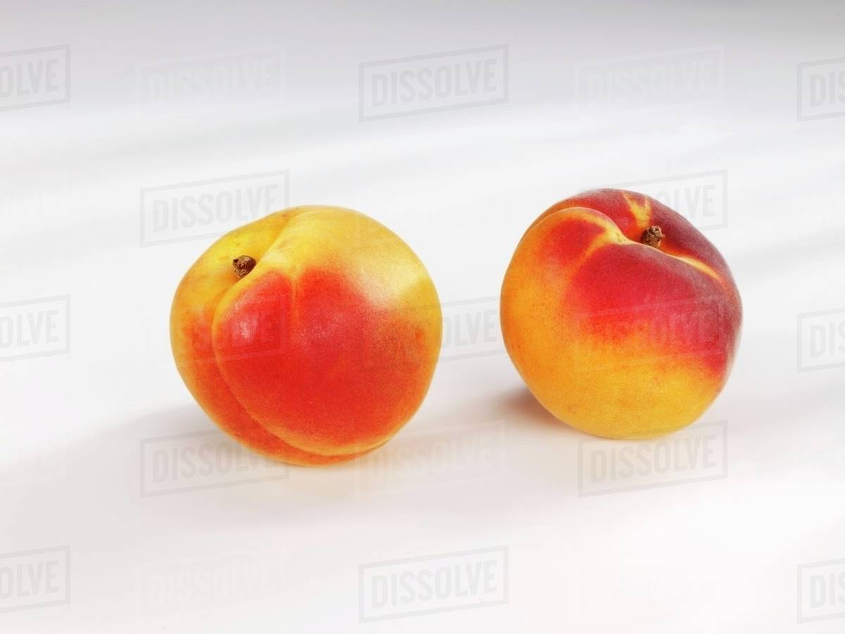 Two whole apricots - Stock Photo - Dissolve