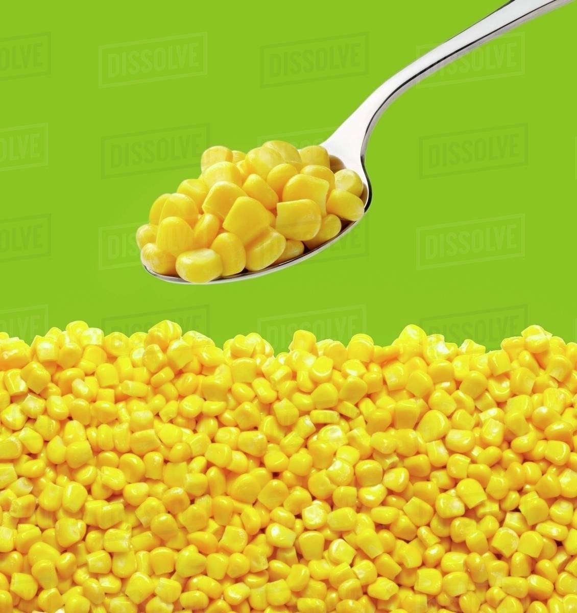 Tinned sweetcorn on a spoon - Royalty-free Stock Photo | Dissolve