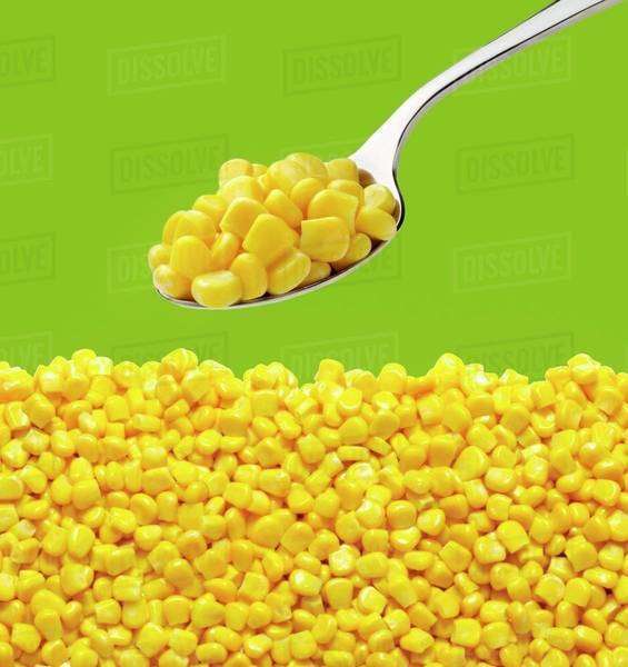 Tinned sweetcorn on a spoon - Royalty-free Stock Photo | Dissolve