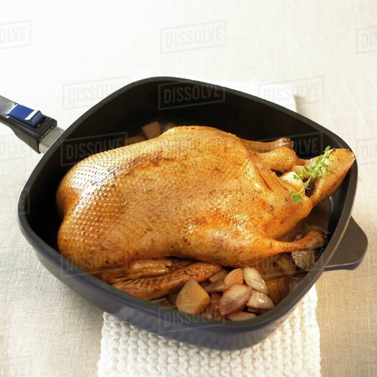 Stuffed duck in frying pan - Royalty-free Stock Photo | Dissolve