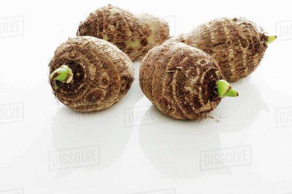 Four taro corms - Stock Photo - Dissolve