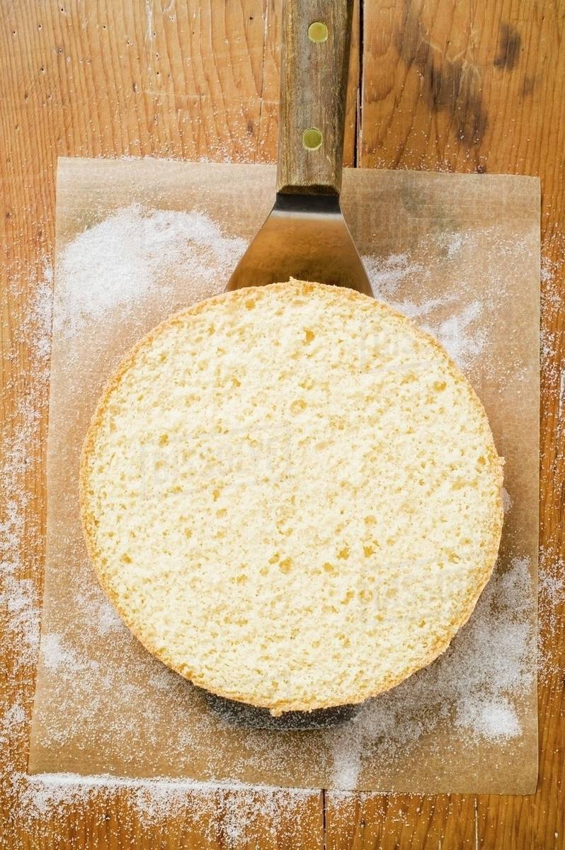 Sponge cake base - Royalty-free Stock Photo | Dissolve