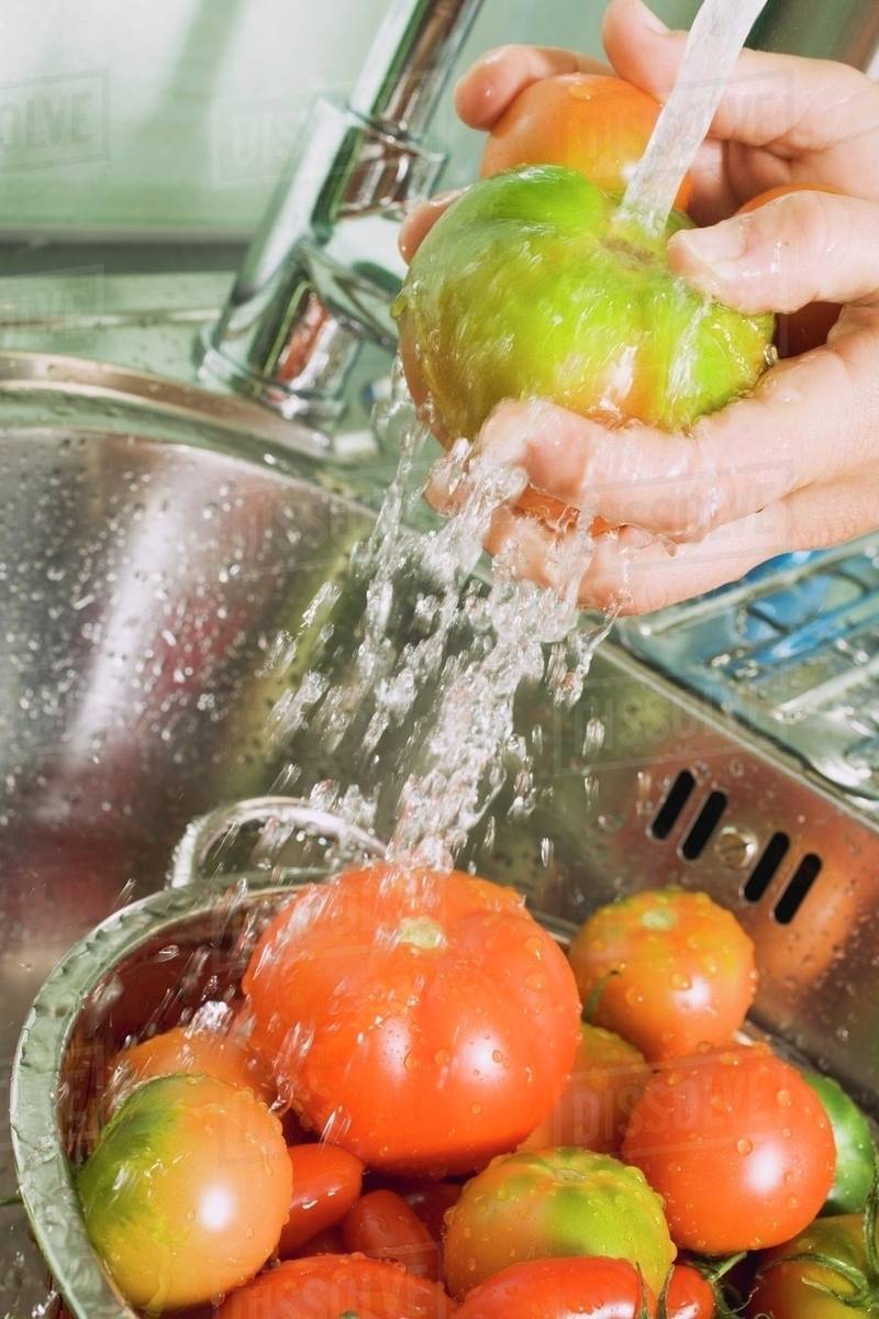Washing tomatoes - Stock Photo - Dissolve