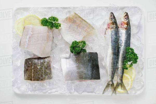 Various types of fish on a platter of ice - Royalty-free Stock Photo ...