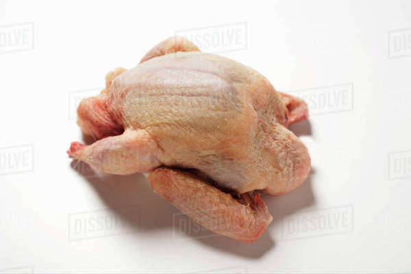 Fresh pigeon - Stock Photo - Dissolve