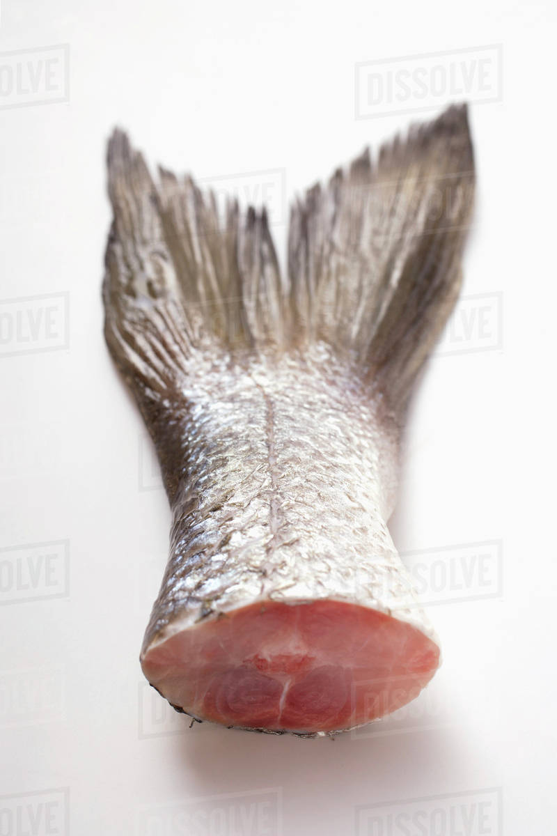 Sea bass tail - Royalty-free Stock Photo | Dissolve