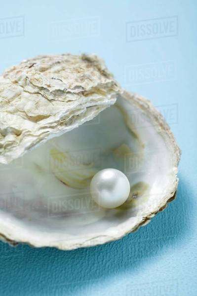 Pearl in oyster shell - Royalty-free Stock Photo | Dissolve