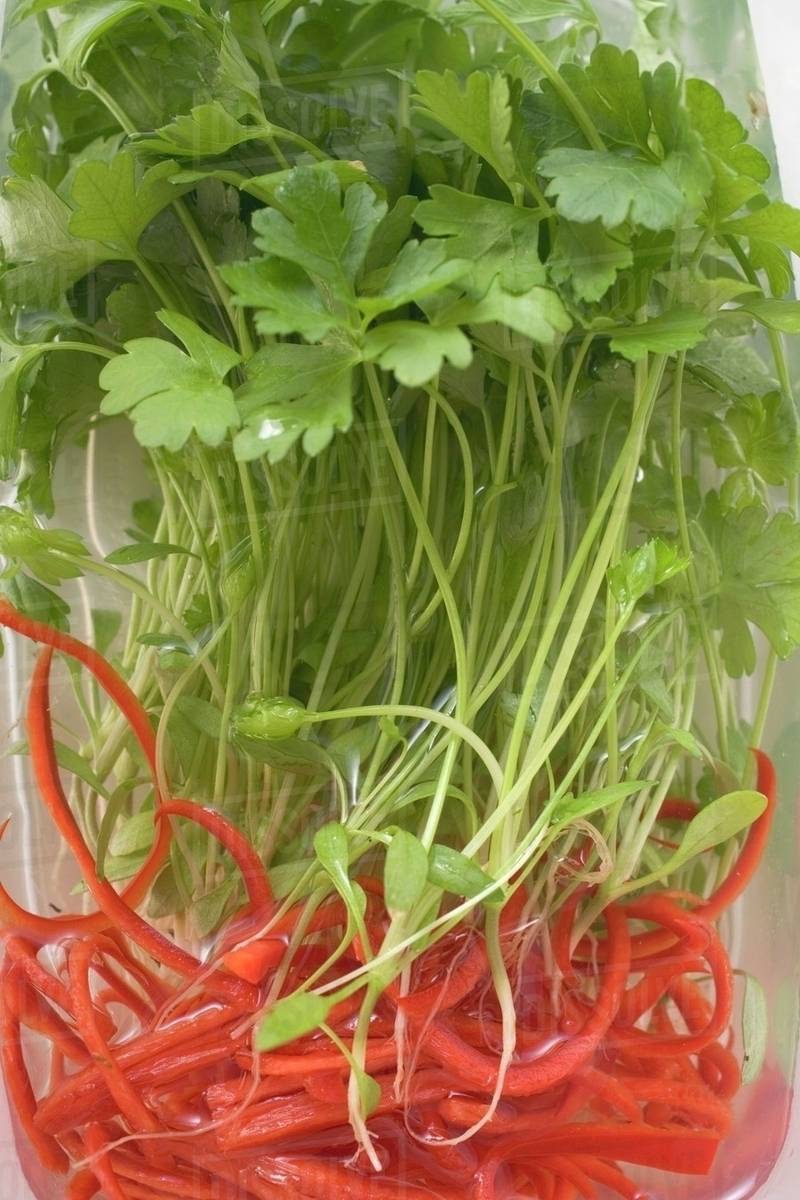 Fresh parsley and strips of red pepper - Royalty-free Stock Photo ...