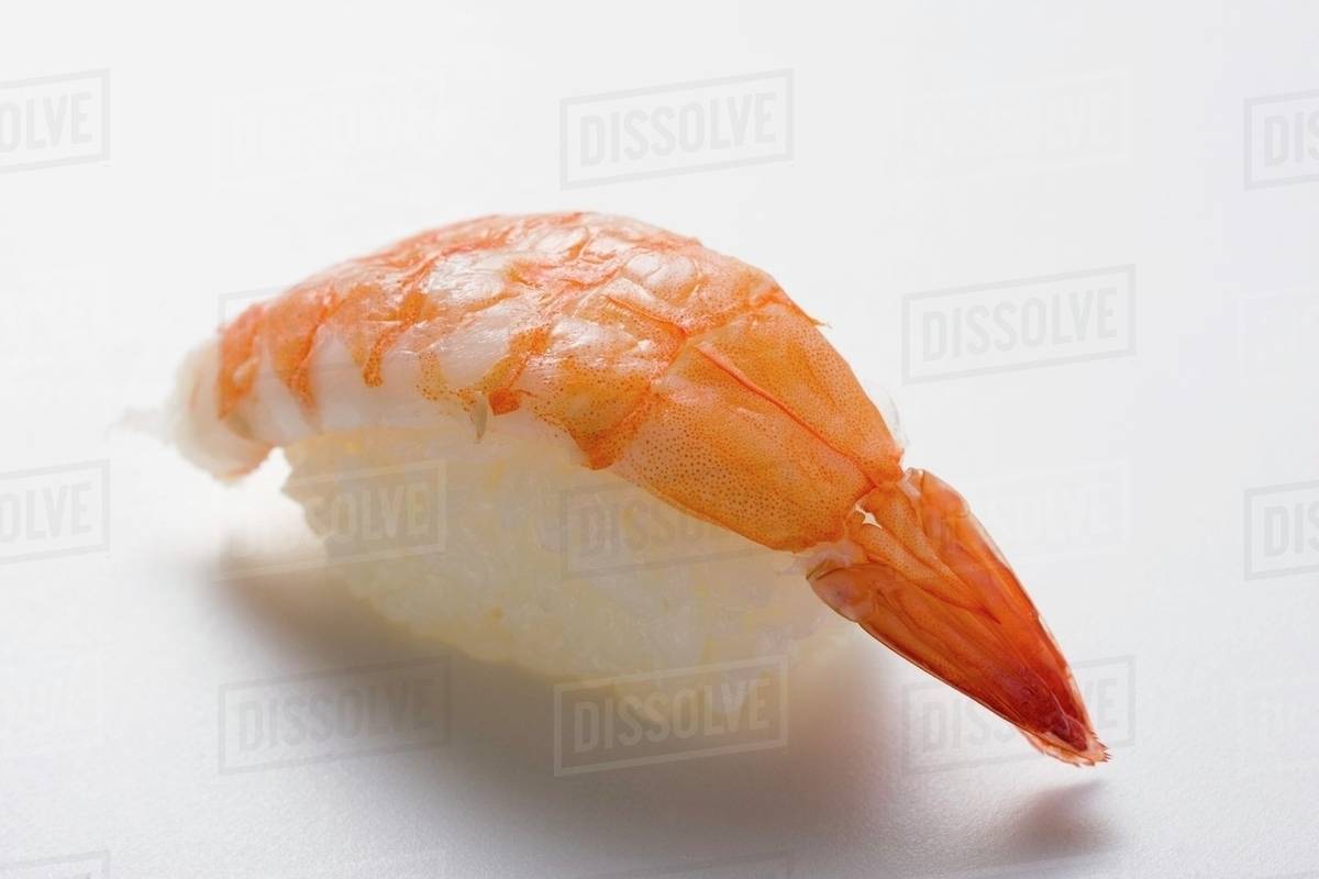 Ebi nigiri (with king prawn) - Stock Photo - Dissolve