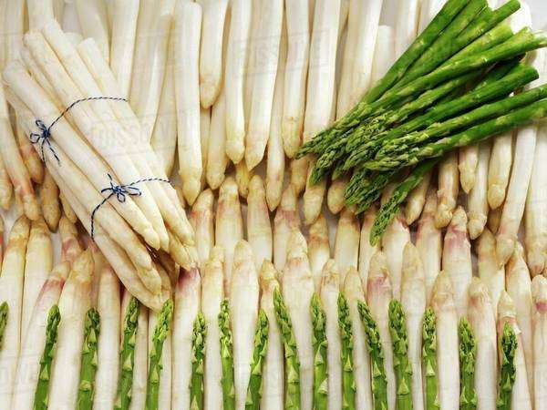 Various types of asparagus - Royalty-free Stock Photo | Dissolve