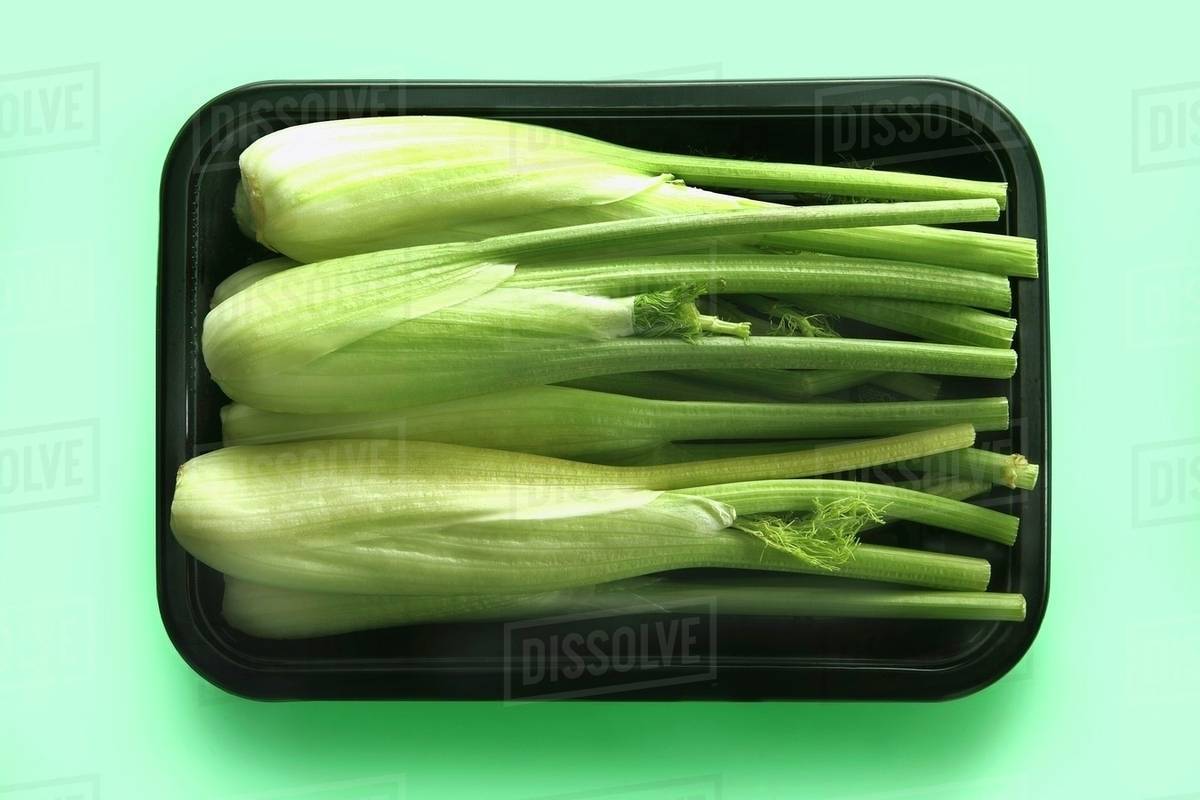 Baby fennel in a plastic tray - Royalty-free Stock Photo | Dissolve