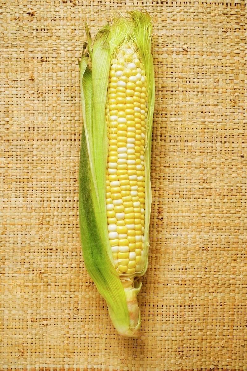 A corn cob with husks - Royalty-free Stock Photo | Dissolve
