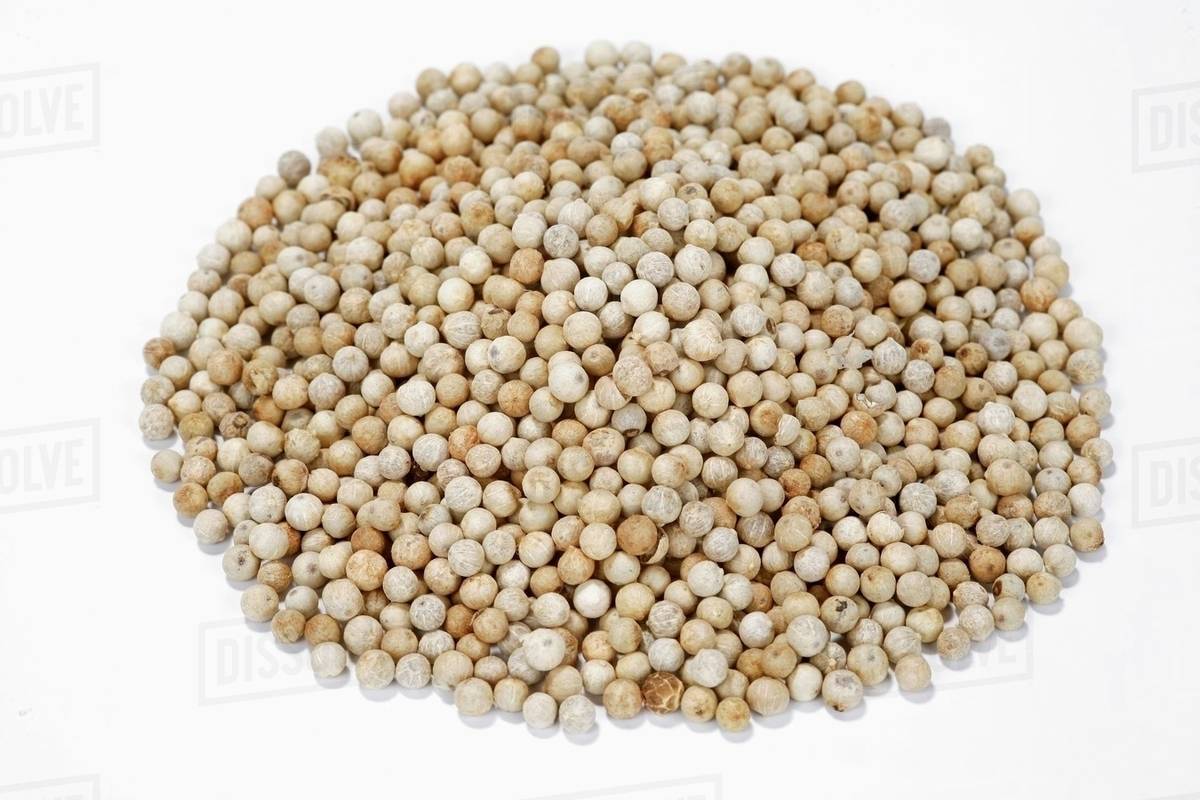 White peppercorns - Royalty-free Stock Photo | Dissolve