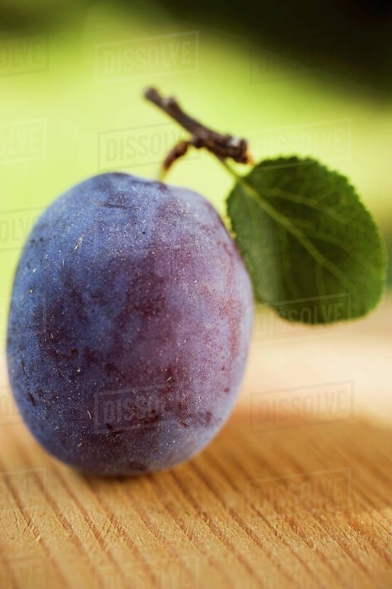 A plum with stalk and leaf - Royalty-free Stock Photo | Dissolve