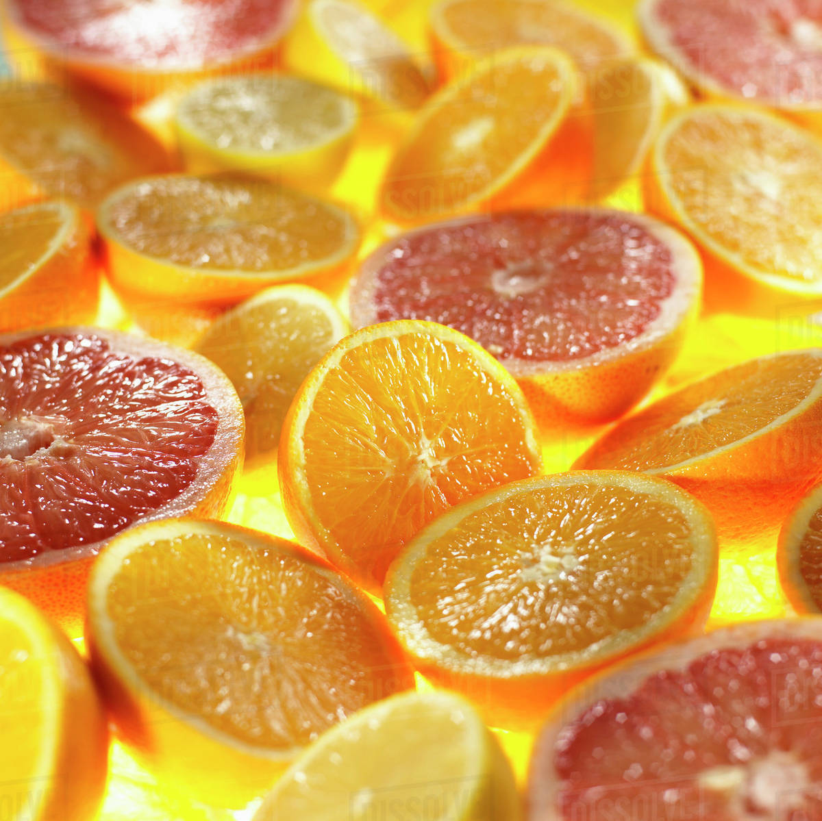 Halved citrus fruits - Stock Photo - Dissolve