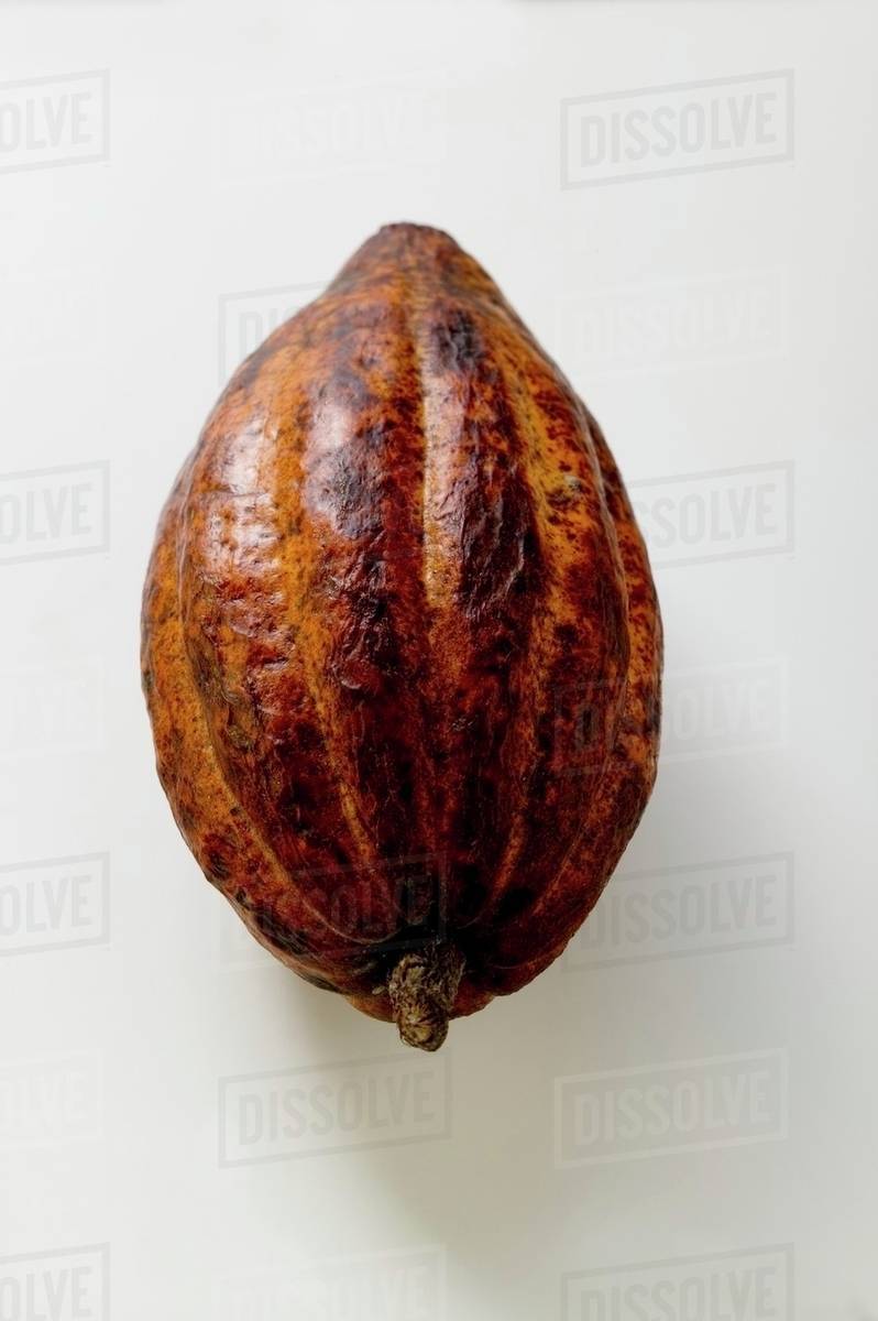 Cacao pod - Royalty-free Stock Photo | Dissolve