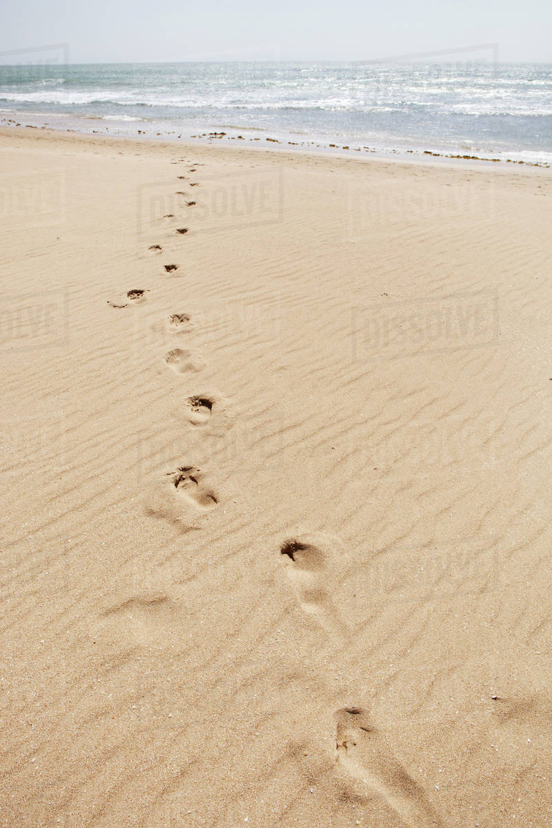Spain, Footsteps on sand at beach - Stock Photo - Dissolve