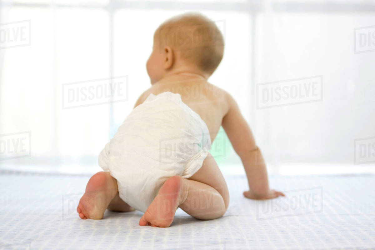 Baby boy (6-12 months) crawling,rear view - Stock Photo - Dissolve