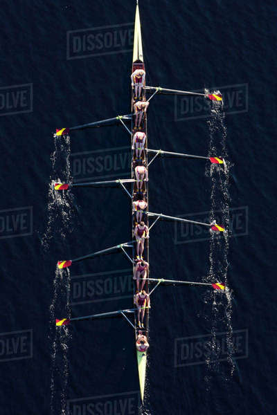 Elevated view of rowing eight in water - Stock Photo - Dissolve