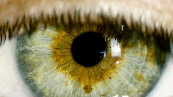 Extreme close-up shot of the wide open human eye of a female. Big zoom ...