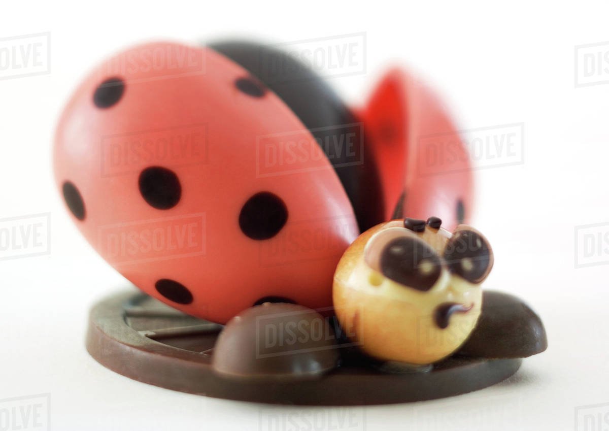 Chocolate ladybug - Royalty-free Stock Photo | Dissolve