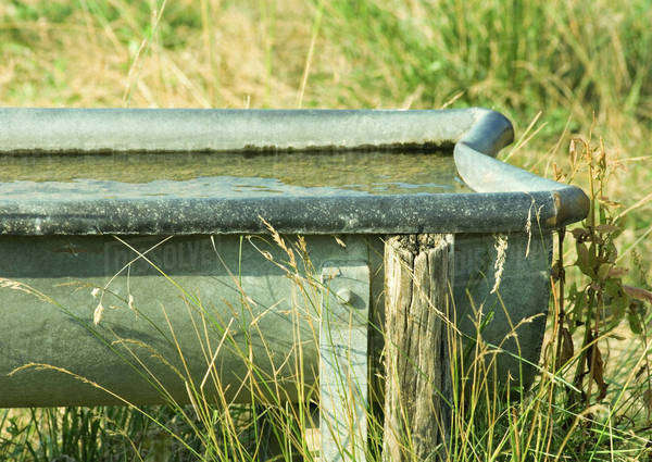 Trough of water - Royalty-free Stock Photo | Dissolve