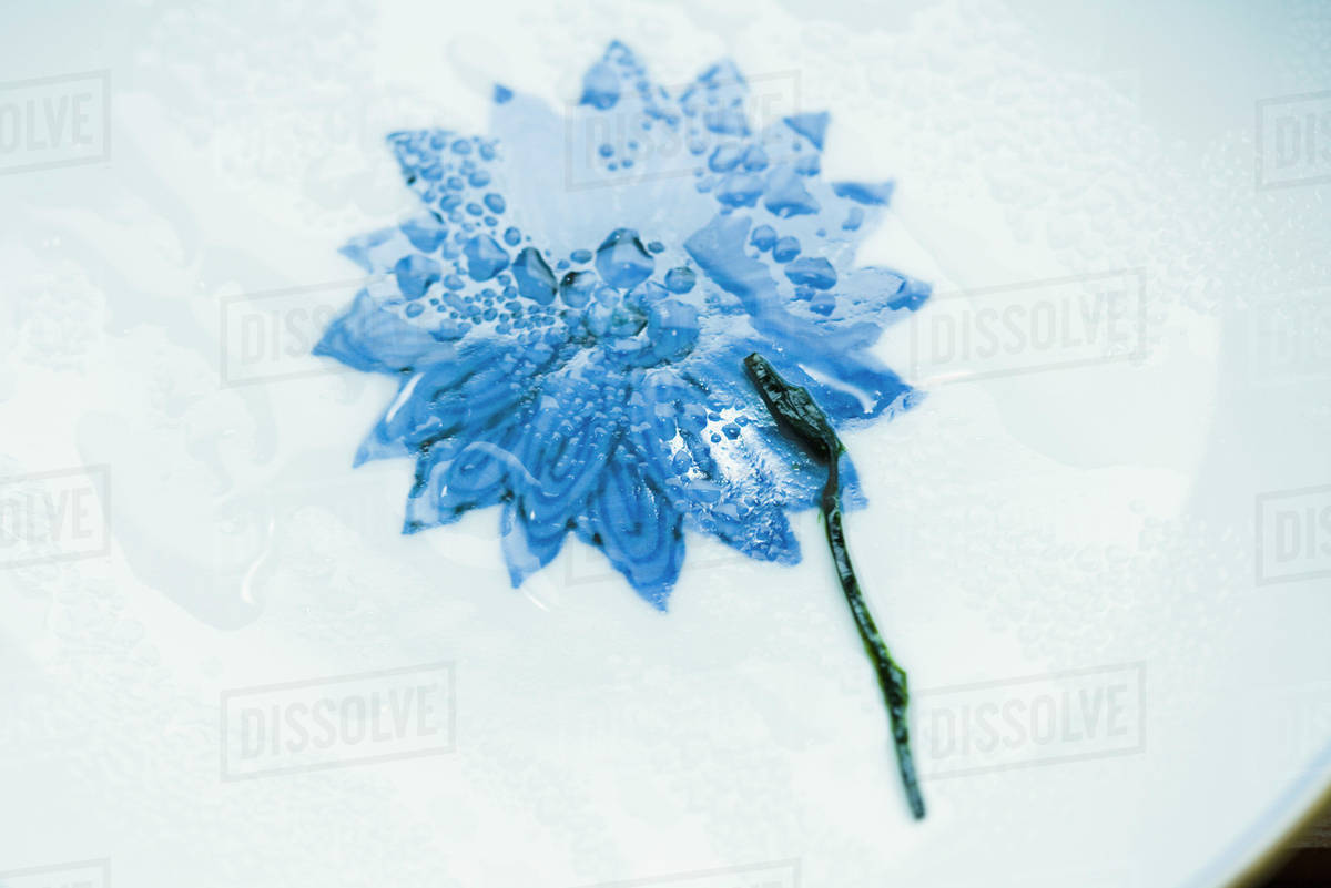 Water droplets on ceramic dish with flower shape - Royalty-free Stock ...