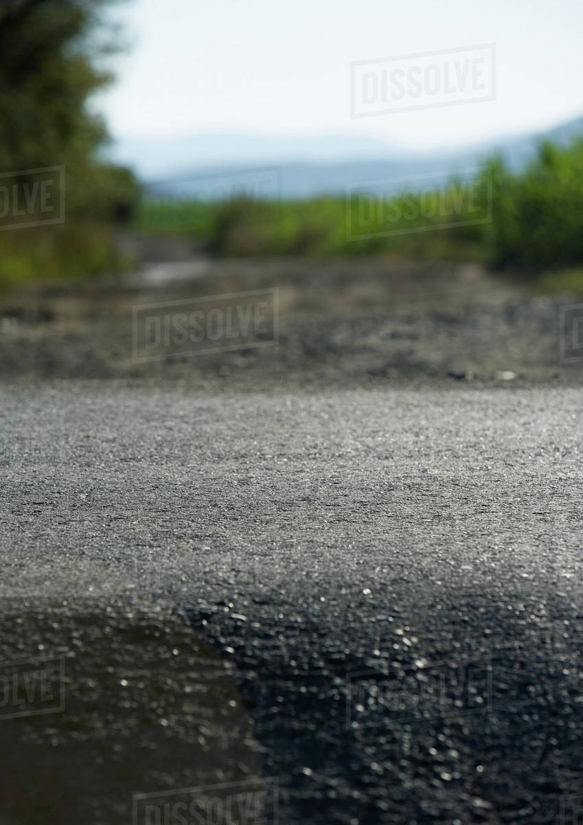 Close-up of ground - Stock Photo - Dissolve
