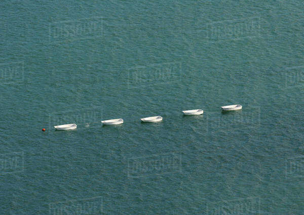 Rowboats in line in water, aerial view - Stock Photo - Dissolve